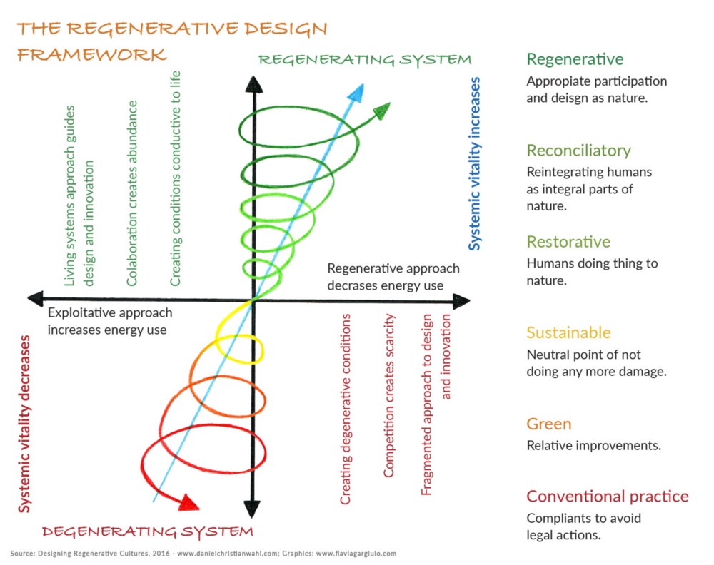 What does regeneration look like? – Climate Action Tai Tokerau