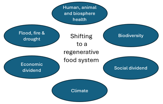 Regenerating Food Systems – Climate Action Tai Tokerau